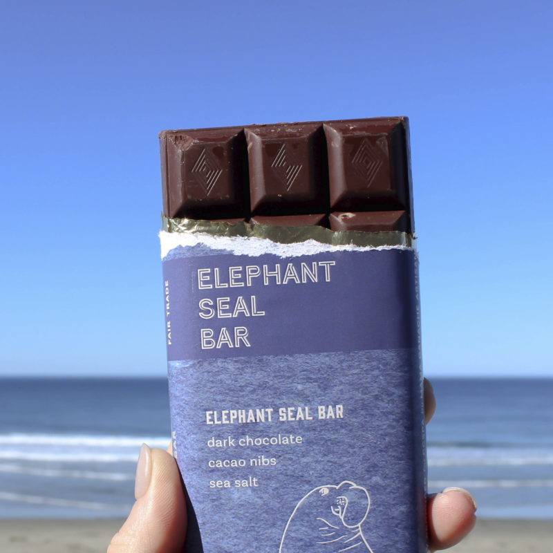 Elephant Seal Bar - Central Coast State Parks Association | CCSPA