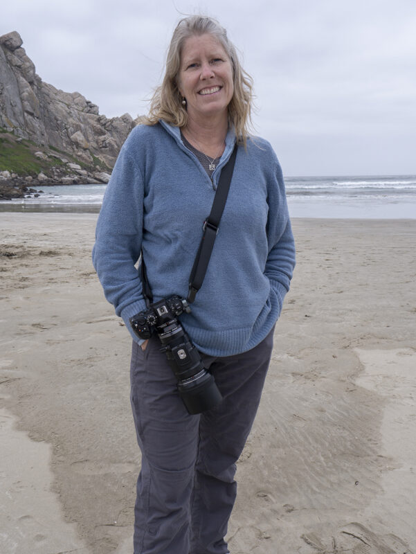 Nature Nooks: Morro Bay - Central Coast State Parks Association | CCSPA