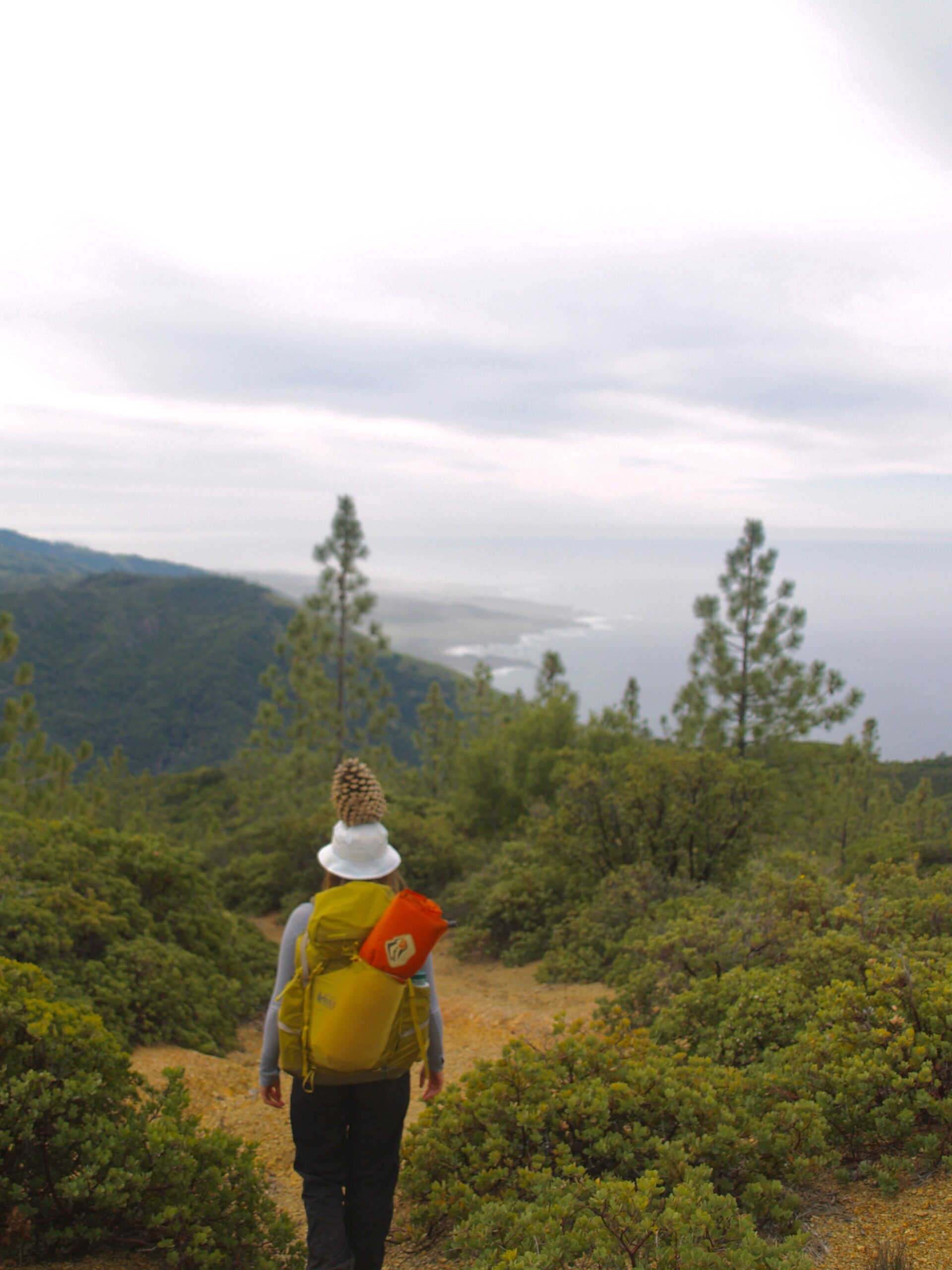 Backpacking Sea to Sky: The Big Sur Wilderness - Central Coast State ...
