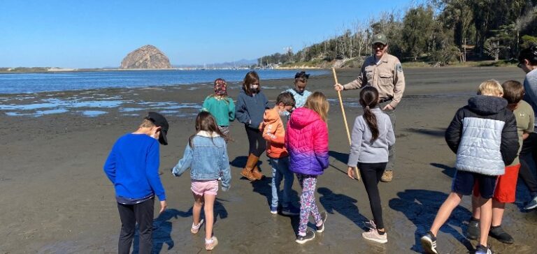 School Groups | Central Coast State Parks Association | CCSPA