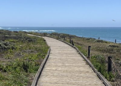 Hearst San Simeon; the Perfect Duo - Central Coast State Parks ...
