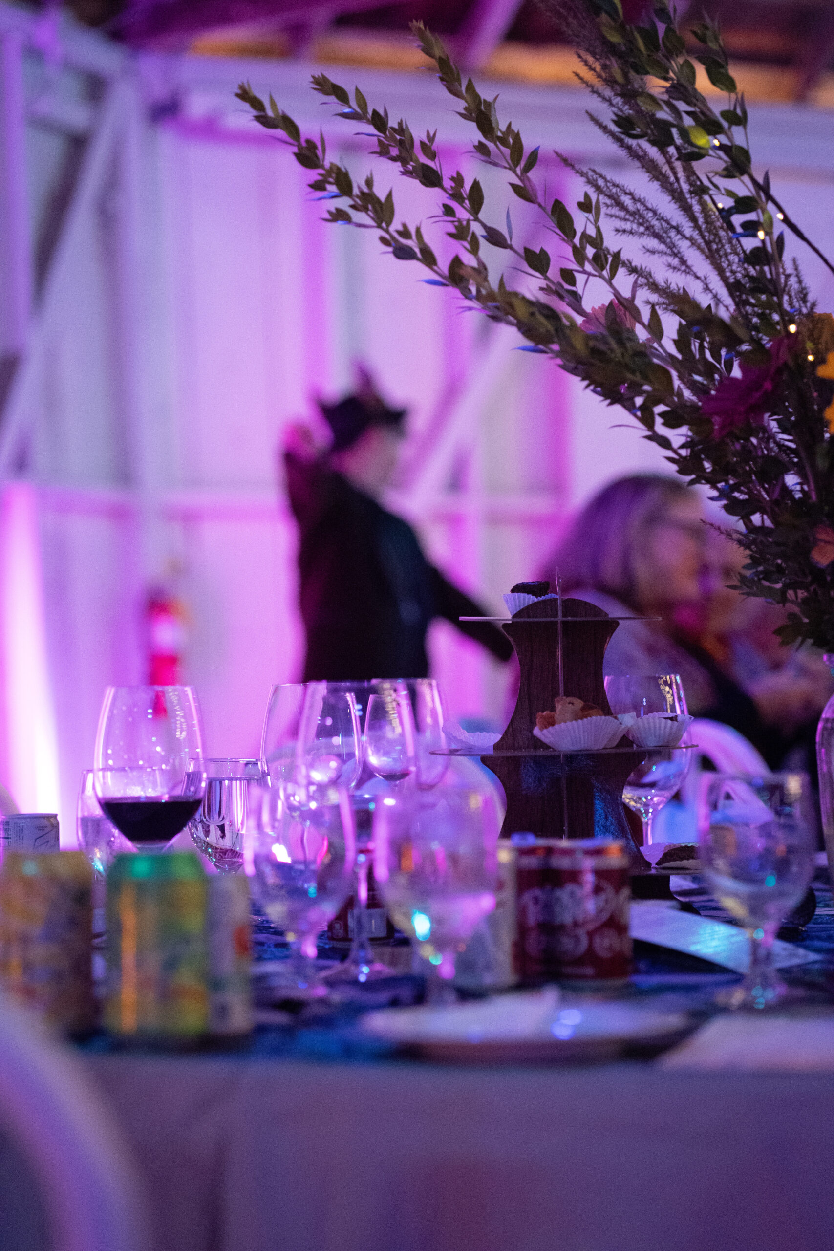 Butterfly Ball | Central Coast State Parks Association | CCSPA