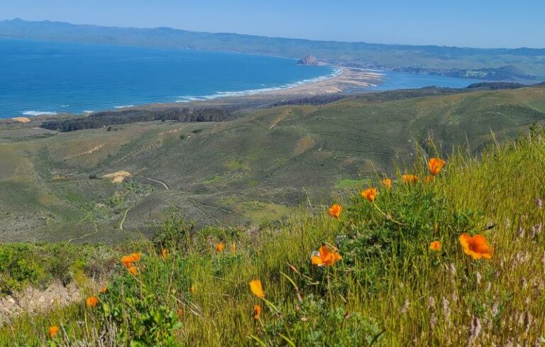 Tri-Tip Challenge - Central Coast State Parks Association | CCSPA